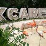 Xcaret Plus Full Day Tour - Who Is This Tour Best Suited For?