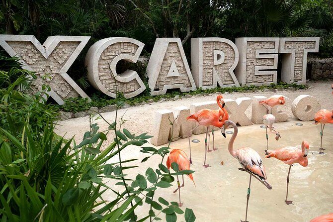 Xcaret Plus Full Day Tour - Who Is This Tour Best Suited For?
