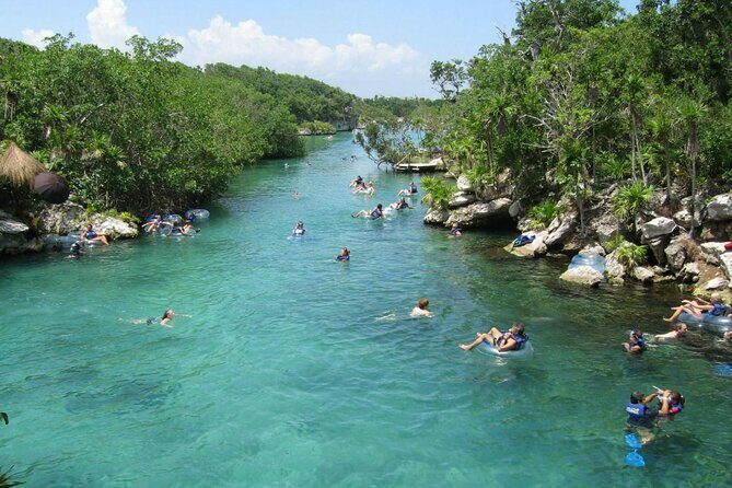 Xel-Ha Adventure! Round Transportation From Cancun & Riviera Maya - What to Expect from the Xel-Há Tour: A Deep Dive