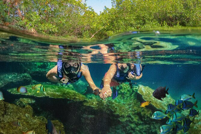Xel-Ha Park Admission Tickets - Real Guest Insights