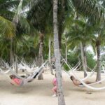 Xel Ha Park Snorkeling & Buffete & Open bar only from Cancun - Frequently Asked Questions