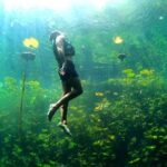 Xenotes Nature Adventure! Round Transportation From Cancun & Riviera Maya - What to Expect at Each Cenote