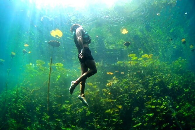 Xenotes Nature Adventure! Round Transportation From Cancun & Riviera Maya - What to Expect at Each Cenote