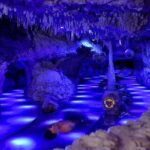 Xenses Park: Fantastic Scenarios - An In-Depth Look at Xenses Park