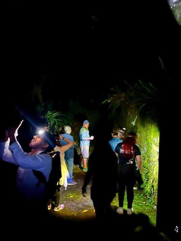 Xilitla - Caminando por un sueño surrealista - Who Should Consider This Tour?