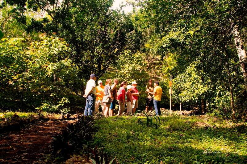 Xkopek, Mayan Bees Tour and Honey Tasting in Valladolid - The Value of the Experience