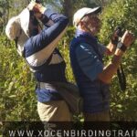 Xocen Birding - The Sum Up