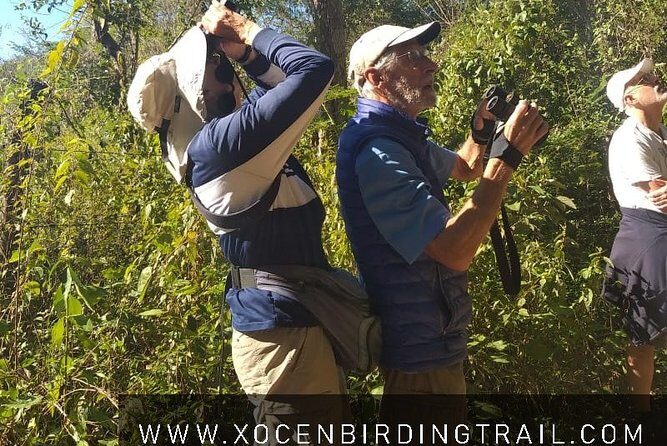 Xocen Birding - The Sum Up