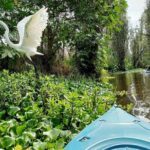 Xochimilco Canals by Kayak - Exploring Hidden Corners