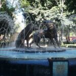 Xochimilco, Coyoacan and Frida Kahlo Museum Tour - A Closer Look at the Itinerary