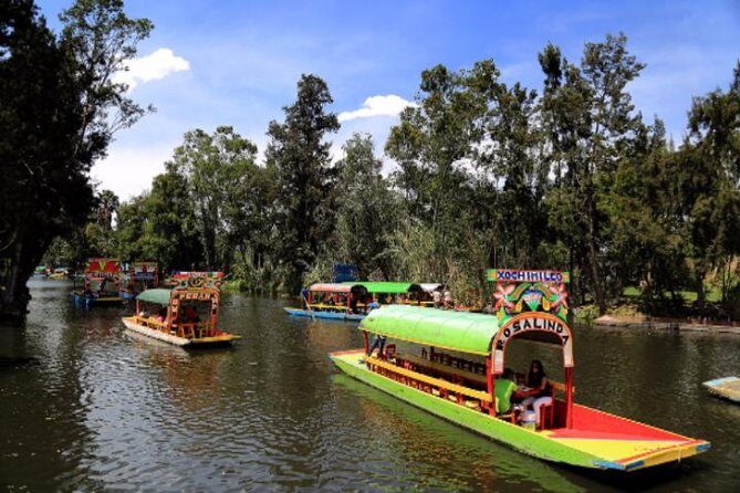XOCHIMILCO & COYOACAN (Private) - Who Should Consider This Tour?