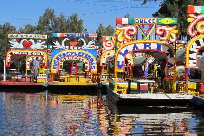Xochimilco - Coyoacan Tour - Transportation and Logistics