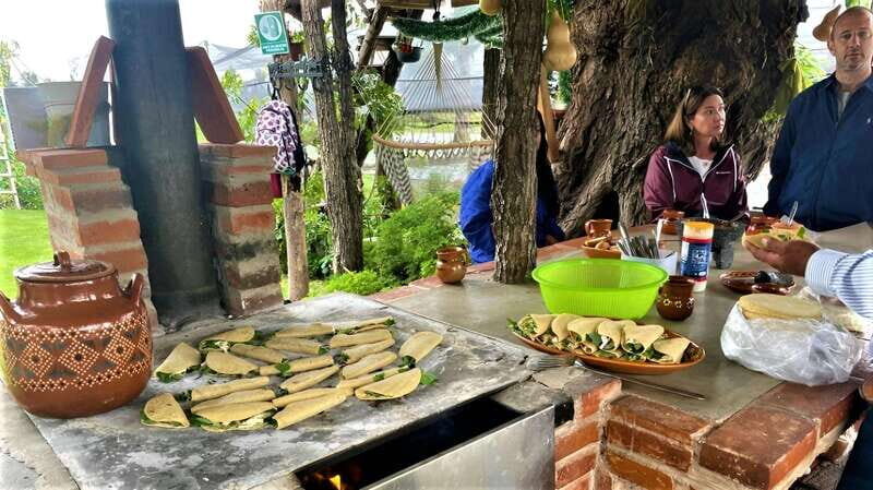 Xochimilco Day Trip: Farmland Food and Hop on a Trajinera - What Makes This Tour Stand Out