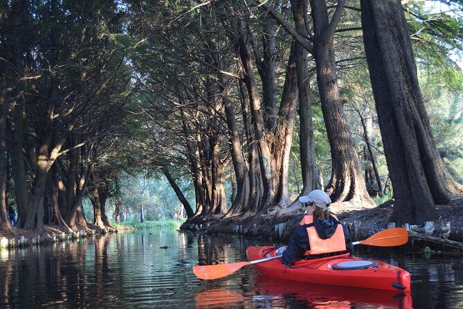 Xochimilco in Kayak - The Sum Up