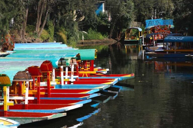 Xochimilco: Party on a trajinera with food, drinks, and music - Is it worth the price?
