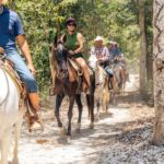 Xtreme Tour - Value and Pricing: Is It Worth It?