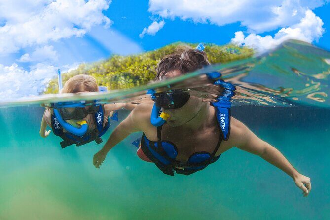 YAL-KÚ Park in Riviera Maya Admission Ticket - The Breakdown of the Itinerary