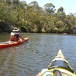 Yarra River Kayak Hire - Why This Experience Is Worth Considering