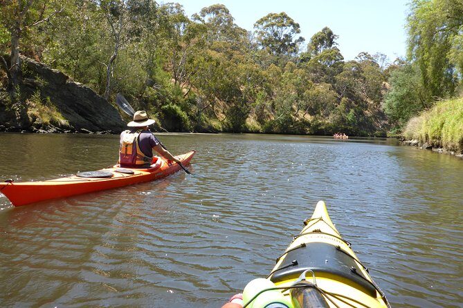 Yarra River Kayak Hire - Why This Experience Is Worth Considering