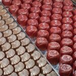 Yarra Valley, Dandenong Ranges inc. lunch with wine,plus morning tea,chocolate - Who Would Love This Tour?