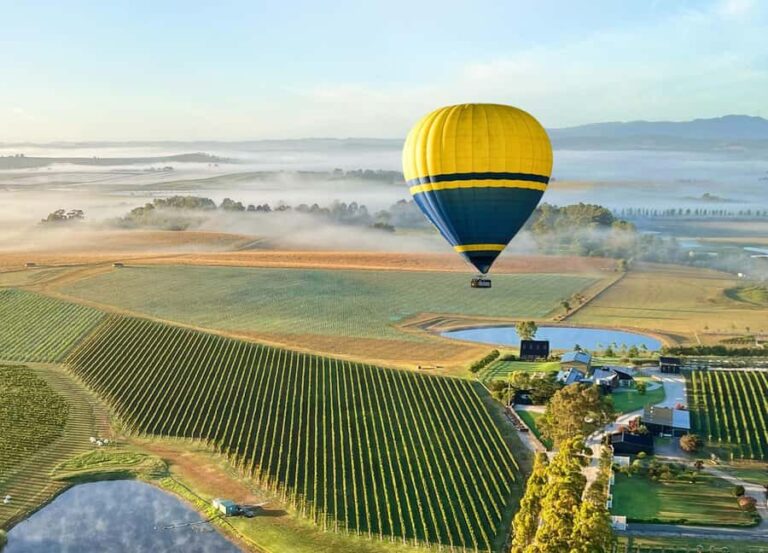 Yarra Valley: Hot Air Balloon with Breakfast & CBD Transfers - What We Love About This Tour