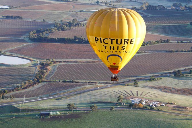 Yarra Valley sunrise balloon flight & champagne breakfast - Why This Tour Is Worth the Price