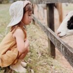 Yarramalong Valley Horse Farm Tours - The Animal Encounter