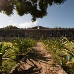Yaxcopoil Hacienda, Uxmal & Cenote from Merida - What Makes This Tour Stand Out?