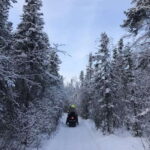 Yellowknife: Backcountry Snowmobile Tour with Winter Gear - What to Expect on the Snowmobile Tour