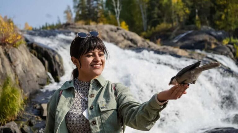 Yellowknife: Cameron Falls Nature Hiking Tour - An In-Depth Look at the Cameron Falls Hiking Tour