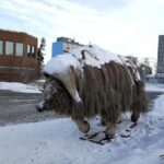 Yellowknife City Tour - What You’ll Experience and Learn