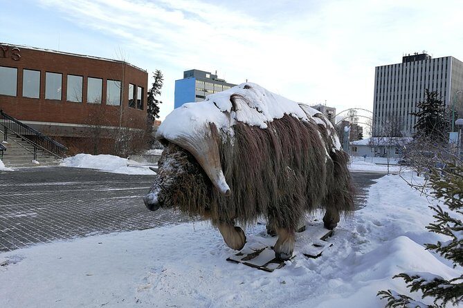 Yellowknife City Tour - What You’ll Experience and Learn