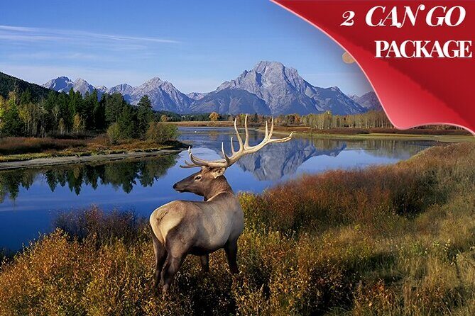 Yellowstone, Grand Teton, and Hot Springs: Small Group 5-Day Tour - The Value of This Tour