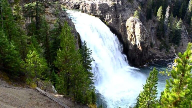 Yellowstone Private Tour Up To 14 Surprise Activity Included - Analyzing the Cost and Overall Value