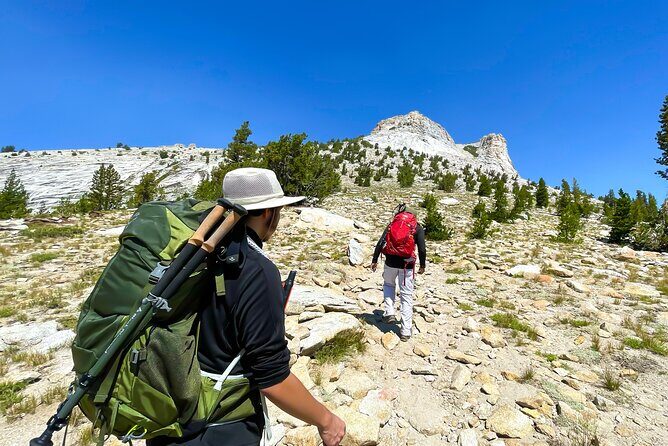 Yosemite: A Guided Father & Son Adventure - Why This Tour Is a Great Choice