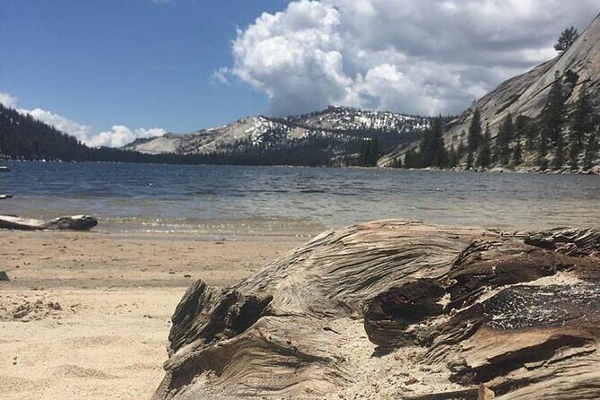 Yosemites High Country Adaptive Tour - Who Will Enjoy This Tour?