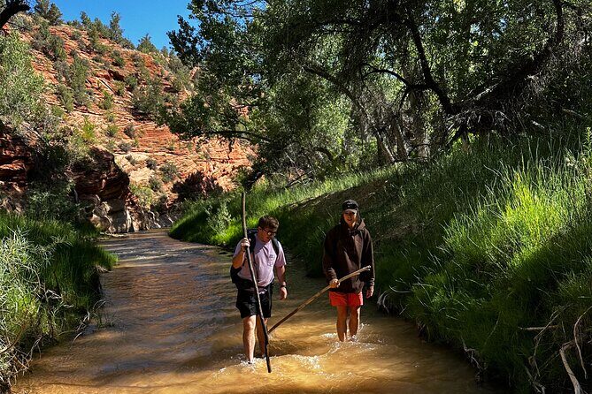 YOU DRIVE!! East Zion's Hidden Treasures - 4 Hr UTV Tour - Who Will Love This Tour?
