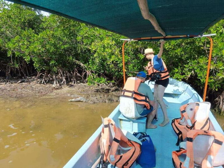 Yucatán: Río Lagartos Biosphere Reserve Boat Tour - The Experience from the Reviews