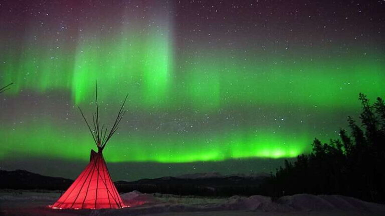 Yukon: Aurora Borealis Late Night Viewing Tour - Pricing and Overall Value