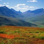 Yukon Aurora Viewing Package | 4 days - What Makes This Tour Stand Out?