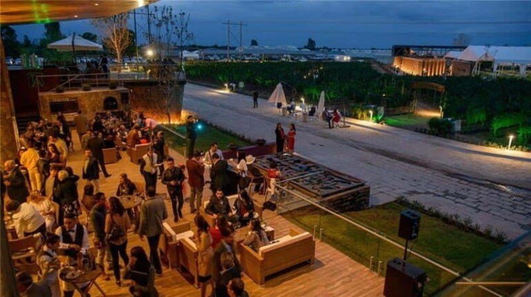 Zacatecas: Campo Real Vinícola Tour - Exploring Zacatecas’s Historic Roots