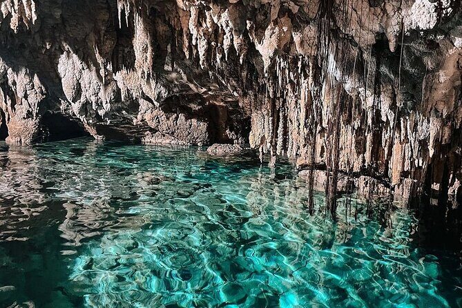 Zapote Cenotes Adventure Tour Prehistoric Park - Authentic Experiences and Practical Tips