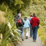 Zealandia by Day Tour - A Deep Dive into the Zealandia Experience