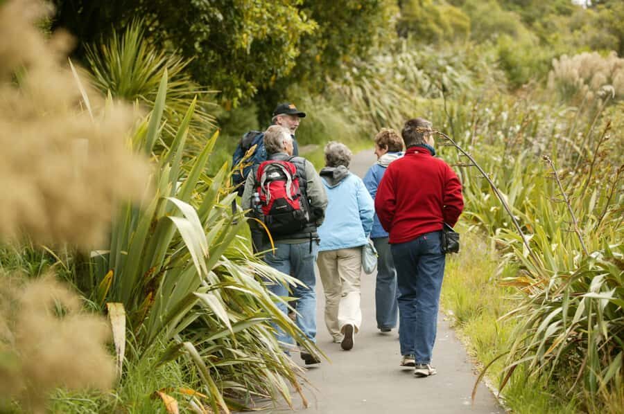 Zealandia by Day Tour - A Deep Dive into the Zealandia Experience