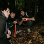 Zealandia Small Group Eco Wildlife Night Tour - Walking through Sanctuary Valley at Night