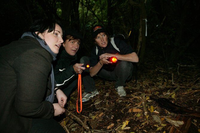 Zealandia Small Group Eco Wildlife Night Tour - Walking through Sanctuary Valley at Night