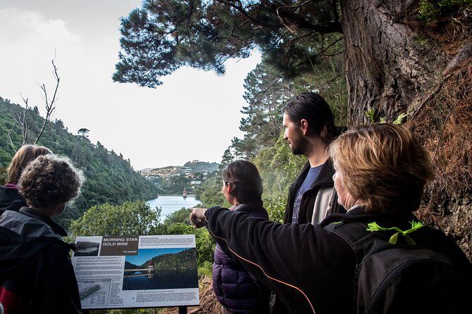 Zealandia - Twilight Guided Eco Wildlife Tour - What Makes Zealandia’s Twilight Tour Special?