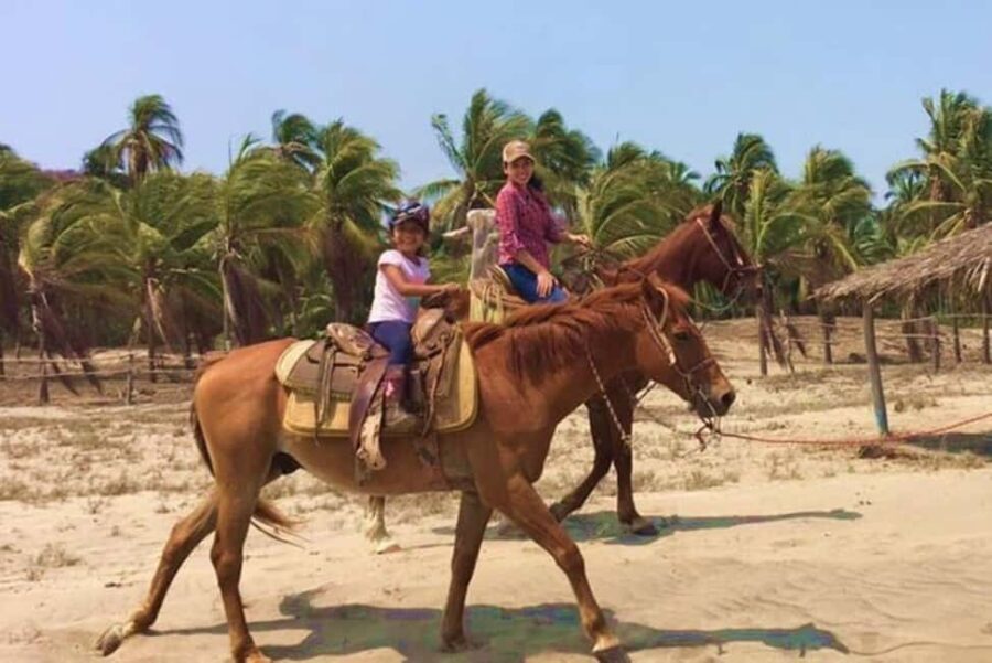 Zihuatanejo: Horseback Riding Tour with Playa Larga Beach - Frequently Asked Questions