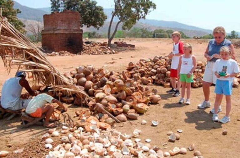 Zihuatanejo Ixtapa: City Tour - What Travelers Are Saying