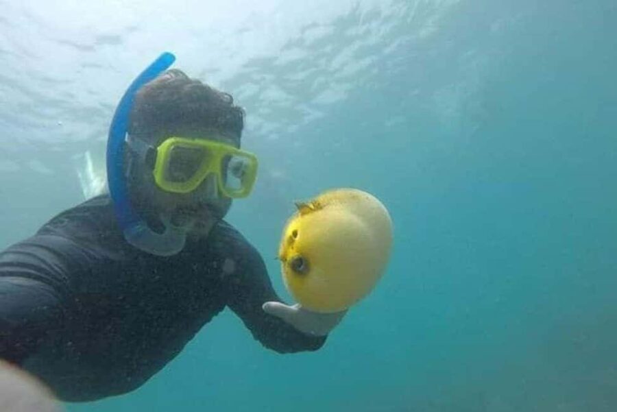 Zihuatanejo: Las Gatas Beach Snorkeling and Kayaking Tour - Who Its Best For